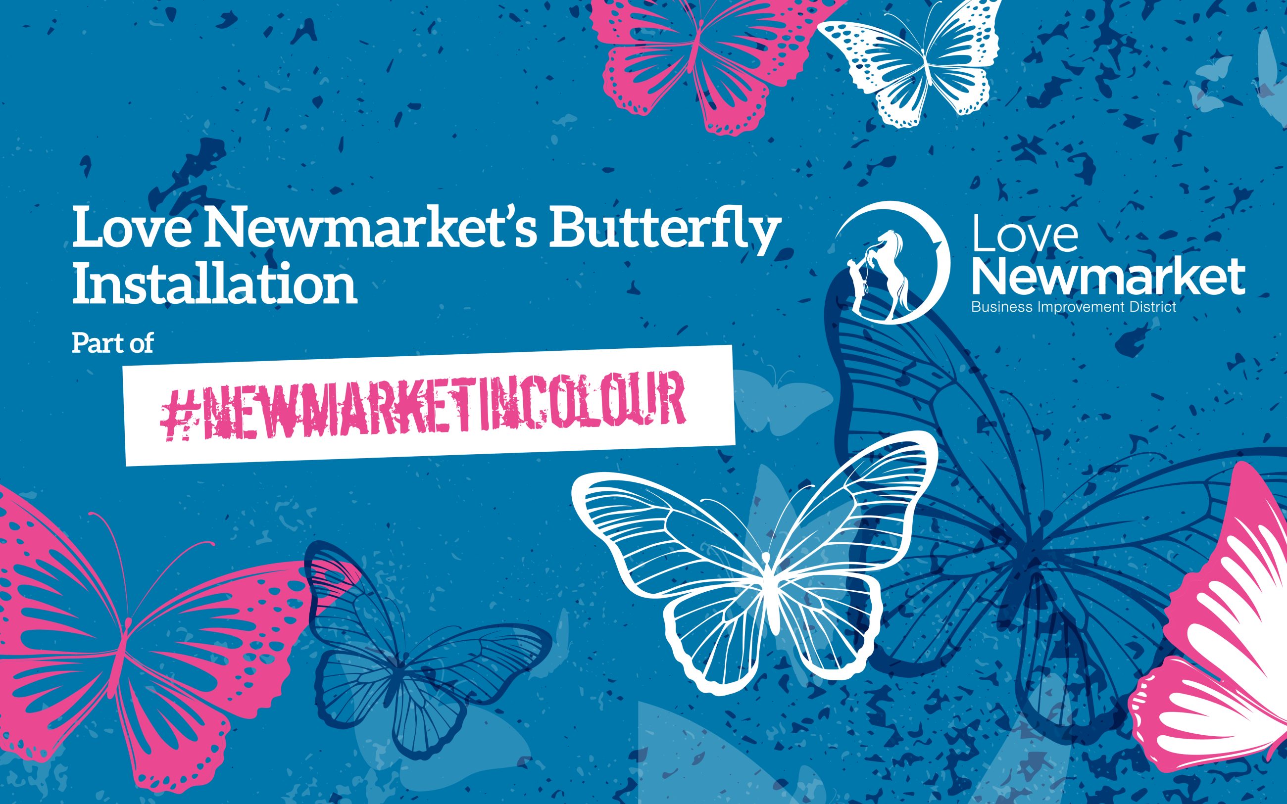 Butterfly Installation Takes Over Newmarket